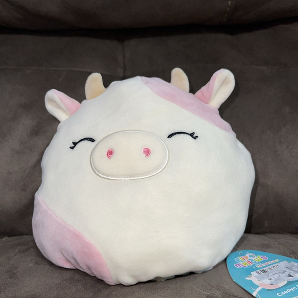 Squishmallows | Toys | Nwt Flipamallows Caedyn Caedia Squishmallows ...